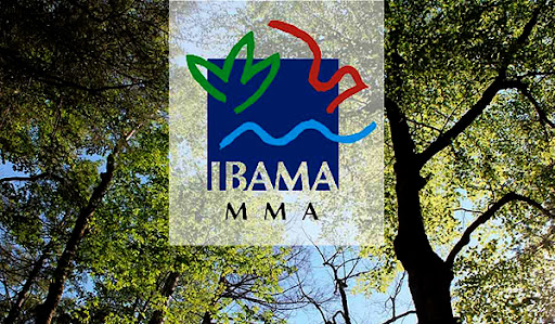 IBAMA: Saiba mais sobre o órgão ambiental brasileiro – GreenBond