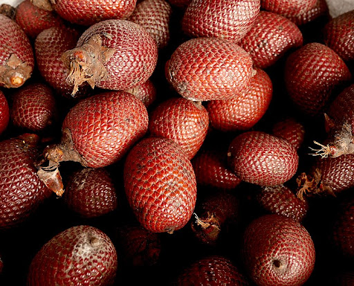 A importância da flora do Cerrado para a vida selvagem (e para nós ...