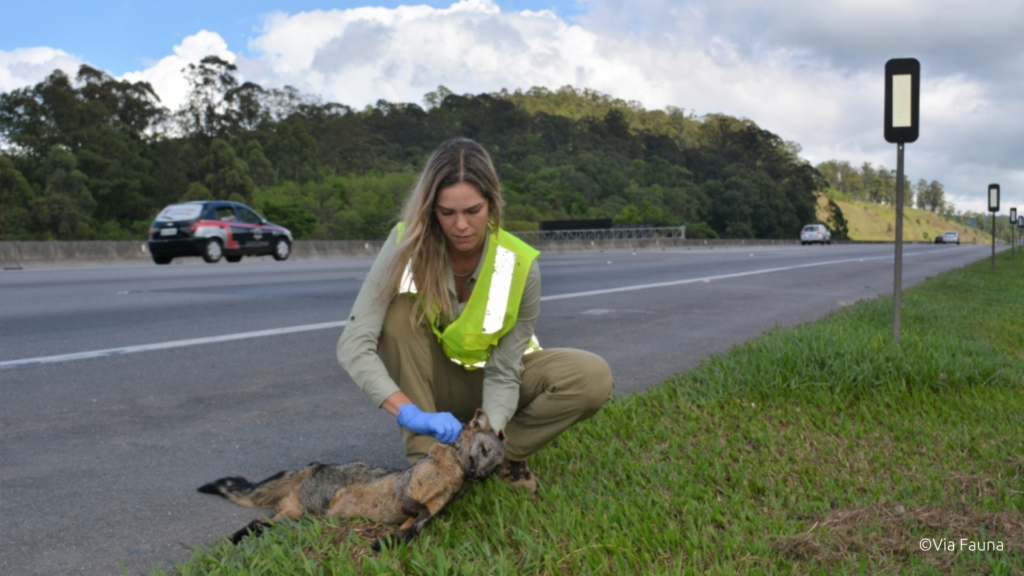 GreenBond - GreenBond